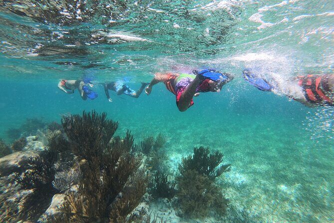 Super Combo ATV in Cancun with Zipline, Snorkel, Cenote, transfer - Authentic Traveler Perspectives