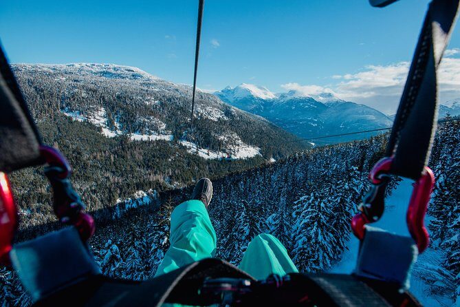 Superfly Ziplines on Cougar Mountain - includes 4 ziplines! - An Overview of the Experience