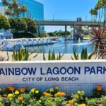 Swan Boat Rental at Rainbow Lagoon in Long Beach - The Sum Up