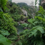 Swim in lush springs and waterfalls in Guadalajara - Who Should Consider This Tour?
