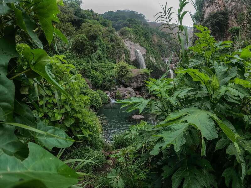 Swim in lush springs and waterfalls in Guadalajara - Who Should Consider This Tour?