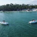 Swim with Dolphins And Snorkeling Group Tour - How This Tour Delivers Value