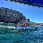 Swim with Sea Lions in La Paz - What’s Included and What’s Not