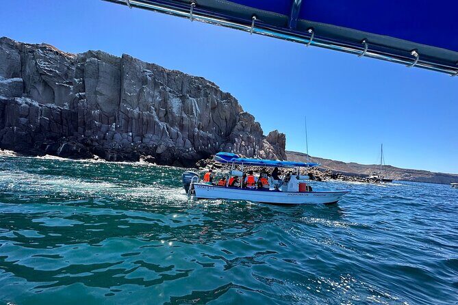 Swim with Sea Lions in La Paz - What’s Included and What’s Not