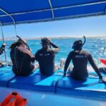 Swim with Whale Sharks in La Paz - The Experience: What You’ll Feel and See