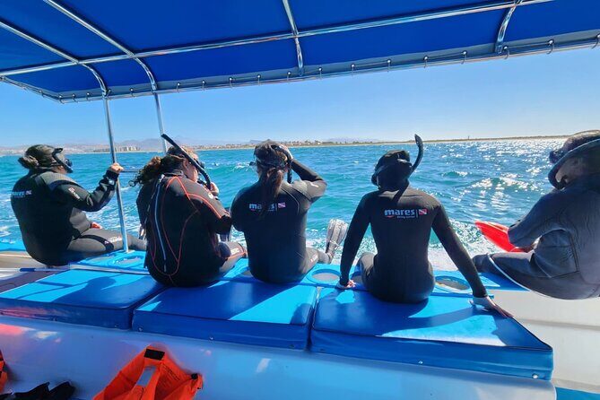 Swim with Whale Sharks in La Paz - The Experience: What You’ll Feel and See
