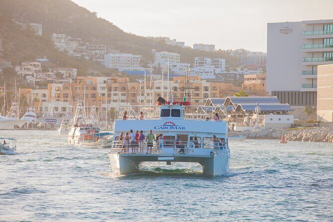 Tacos buffet & Open Bar Cruise! Los Cabos Round Transportation - The Highlights and Potential Drawbacks