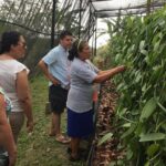 Tajin Ruins Day Trip and Vanilla Factory Experience - Authenticity and Education: What Travelers Say