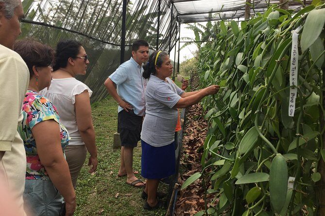 Tajin Ruins Day Trip and Vanilla Factory Experience - Authenticity and Education: What Travelers Say