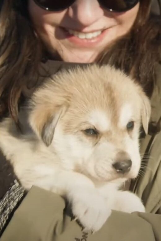 Talkeetna: Alaskan Winter Dog Sledding Experience - Final Thoughts