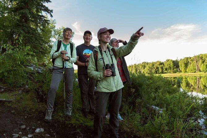 Talkeetna Lakes Hike Guided by a Naturalist - An In-Depth Look at the Talkeetna Lakes Hike