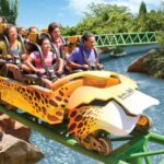 Tampa Bay CityPASS®: Save up to 55% at 5 Top Attractions - The Practicalities