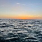 Tampa Bay: Sunset Cruise with Celebrity Homes and Wildlife - Comparing Value and Experience