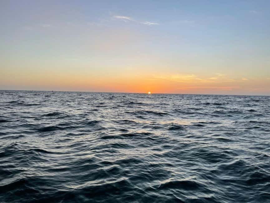 Tampa Bay: Sunset Cruise with Celebrity Homes and Wildlife - Comparing Value and Experience