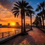 Tampa Riverwalk Street Food by the Bay 3 Hour Walking Food Tour - Who Will Love This Tour