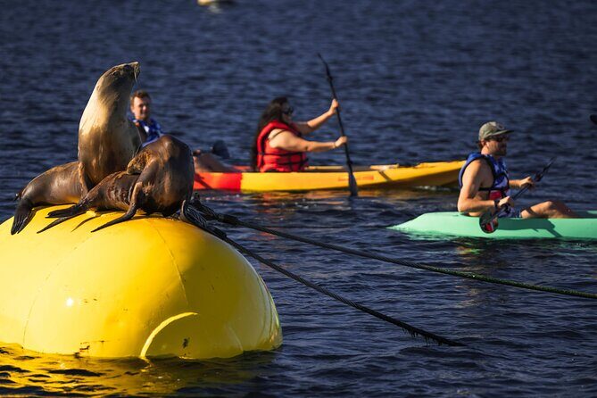 Tandem Kayak Rentals in Mission Bay - FAQs