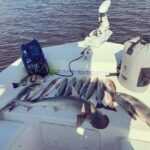 Tarpon Springs: Private Guided Gulf of Mexico Fishing Tour - What the Tour Means for You