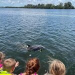 Tarpon Springs: Private Island Tour & Dolphin Cruise - The Itinerary in Detail