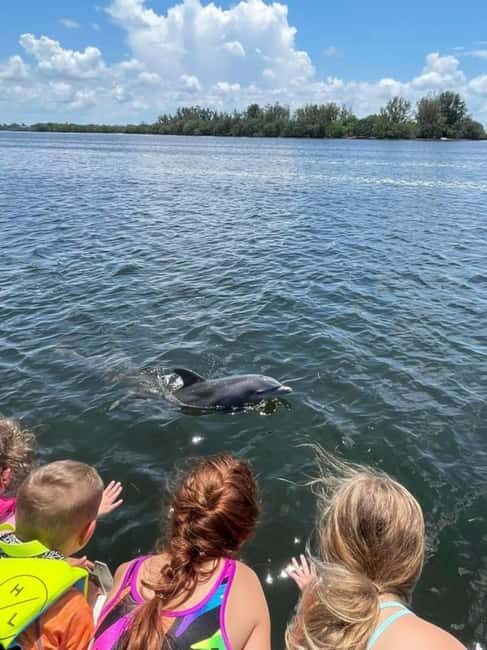 Tarpon Springs: Private Island Tour & Dolphin Cruise - The Itinerary in Detail