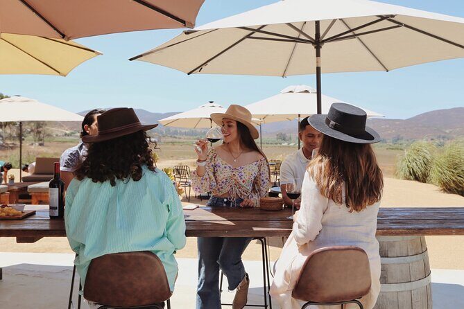 Tasting of 5 wines and tour at the winery Rondo del Valle - Final Thoughts