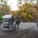 Tavern on the Green PickUp&DropOff With Horse Carriage Ride - The Itinerary: What to Expect