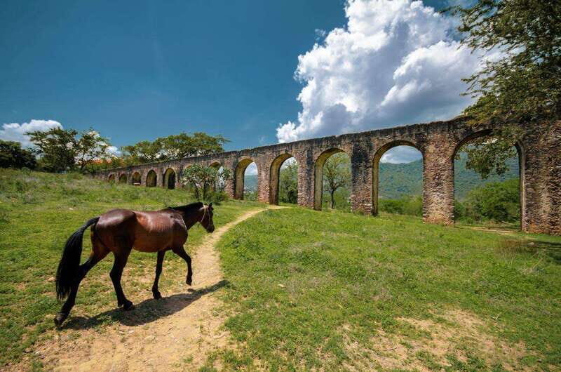 Taxco: 16th Century Mining Beneficiation Estate Tour - Why This Tour Is a Great Choice