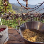 Taxco: Organic Coffee Garden Experience - Who Will Love This Tour?