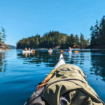 Telegraph Cove: Half-Day Kayaking Tour - A Closer Look at the Tour Experience