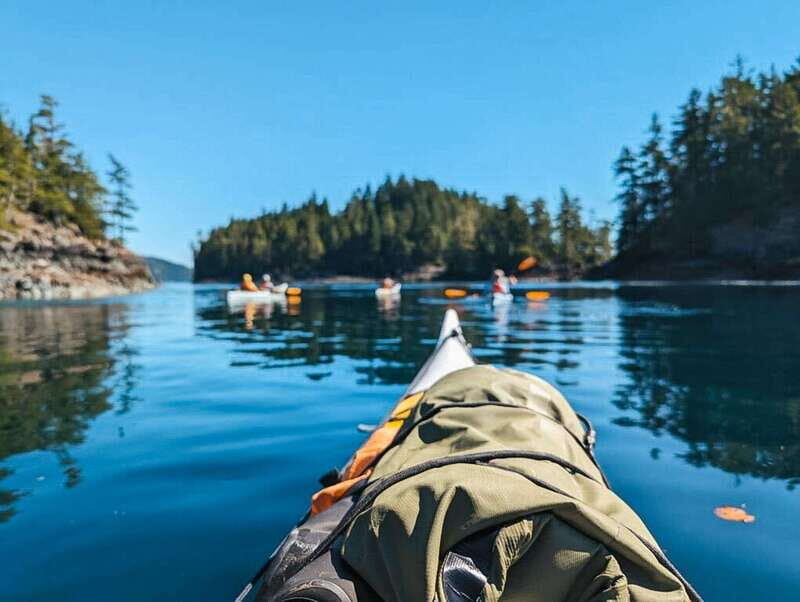 Telegraph Cove: Half-Day Kayaking Tour - A Closer Look at the Tour Experience