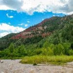 Telluride Morning Half Day Rafting Trip - San Miguel River - Authentic Reviews and Insights