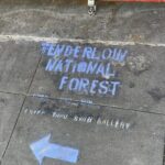 Tenderloin LGBTQ+ History Tour - The Value of This Tour