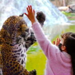 Teotihuacan: Entrance to Animal Kingdom Park; Adventure & Nature - What Can You Expect on the Day?