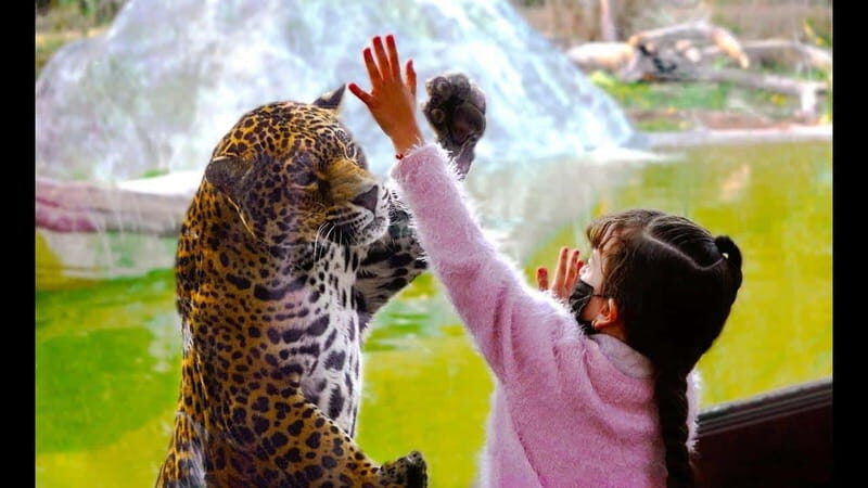 Teotihuacan: Entrance to Animal Kingdom Park; Adventure & Nature - What Can You Expect on the Day?