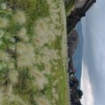 Teotihuacan Pyramids small groups and Basilica of Guadalupe - Who Should Consider This Tour?