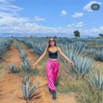 Tequila and Cantaritos Tour from Guadalajara - A Detailed Look at the Tour Experience