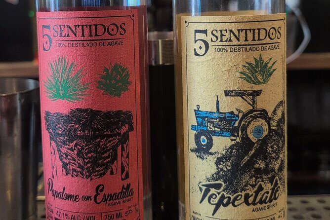 Tequila and Mezcal Tasting in DC - A Closer Look at the Itinerary and Experience