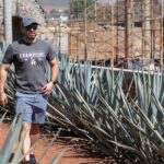 Tequila Day Trip - What’s Included and What to Keep in Mind