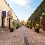 Tequila Full-Day Discovery Tour of Amatitan - What’s Included & What’s Not