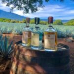 Tequila Full Experience! - What Our Guests Say