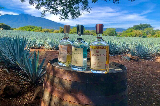 Tequila Full Experience! - What Our Guests Say
