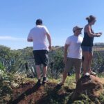 Tequila Jalisco Full Day Tour from Puerto Vallarta - An In-Depth Look at the Experience
