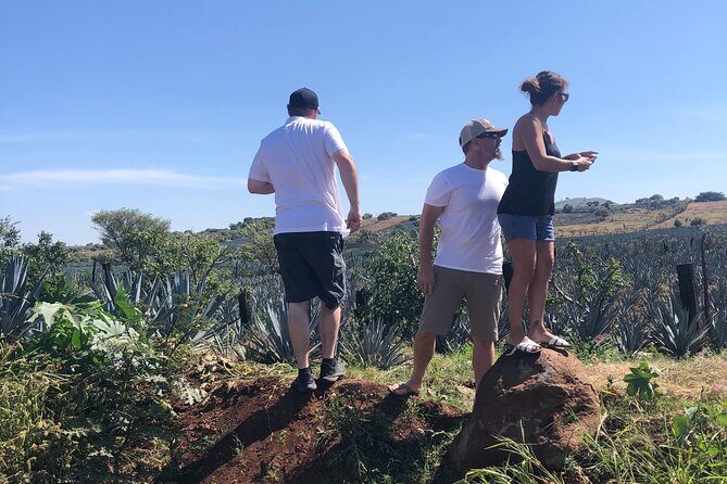 Tequila Jalisco Full Day Tour from Puerto Vallarta - An In-Depth Look at the Experience