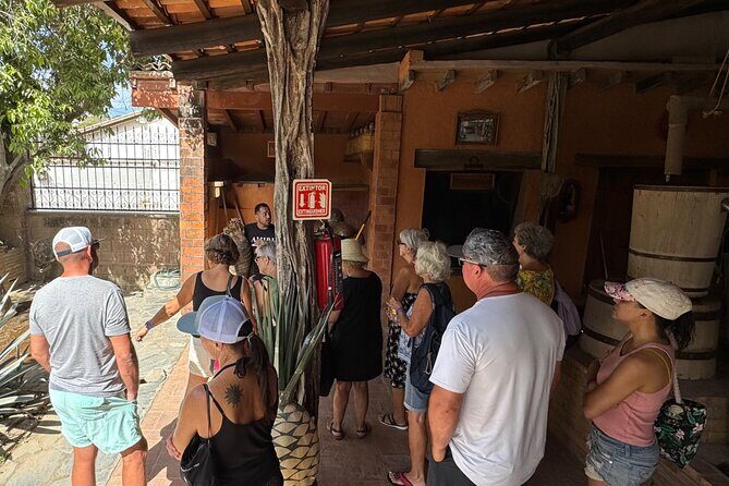 Tequila Tasting Tour in Nuevo Vallarta - The Value of This Tour