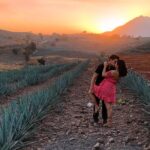 Tequila tour with tasting. - What’s Included and What to Consider