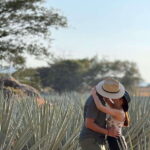 Tequila: Town and Distillery Guided Tour with Tastings - Price and Value