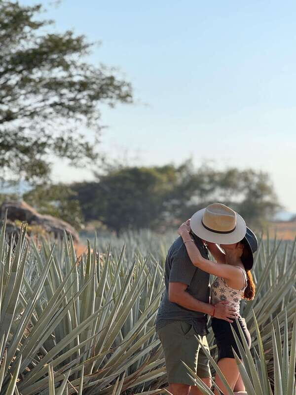 Tequila: Town and Distillery Guided Tour with Tastings - Price and Value
