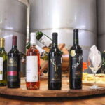 Tequisquiapan: UTV Adventure with Winery and Cheese Tasting - What Makes This Tour Stand Out