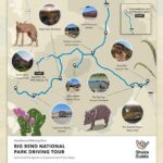 Texas and New Mexico Bundle 4 day Self Guided National Park Tours - Why This Tour Works for You