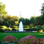Texas Discovery Gardens General Admission - Detailed Breakdown of the Itinerary