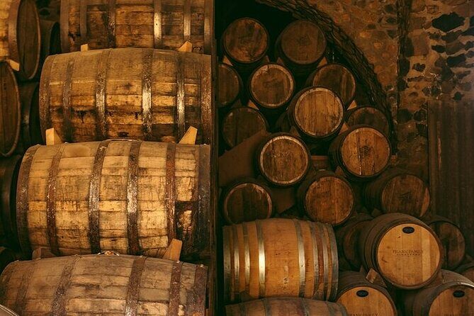 The Agave Experience Tequila Tour in Jalisco - Why This Tour Offers Great Value